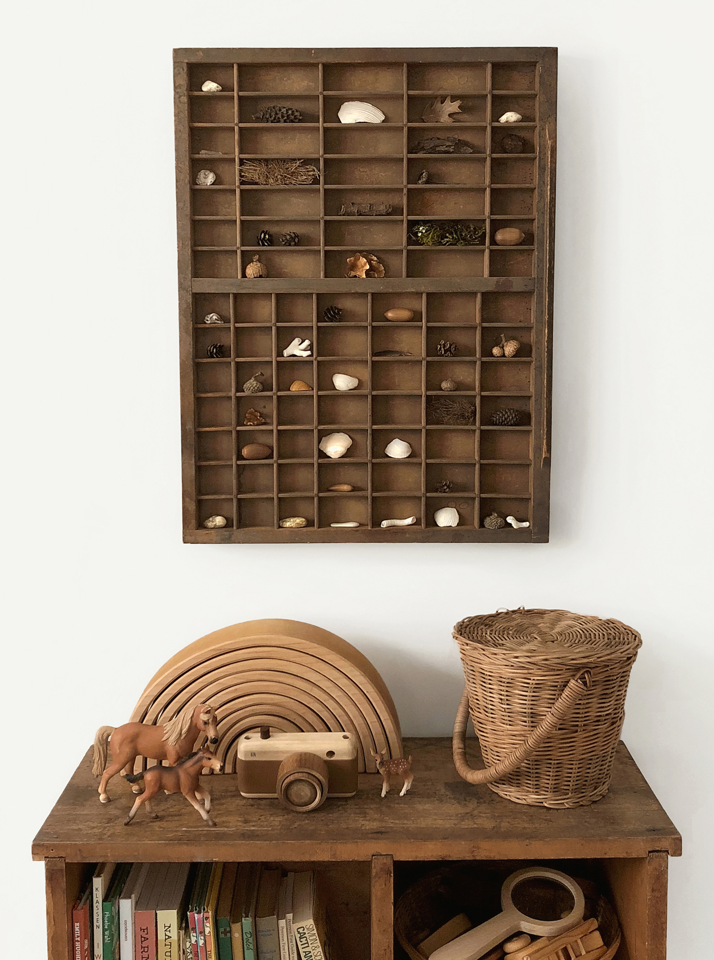 How To Set Up a Nature Shelf – Woodlark