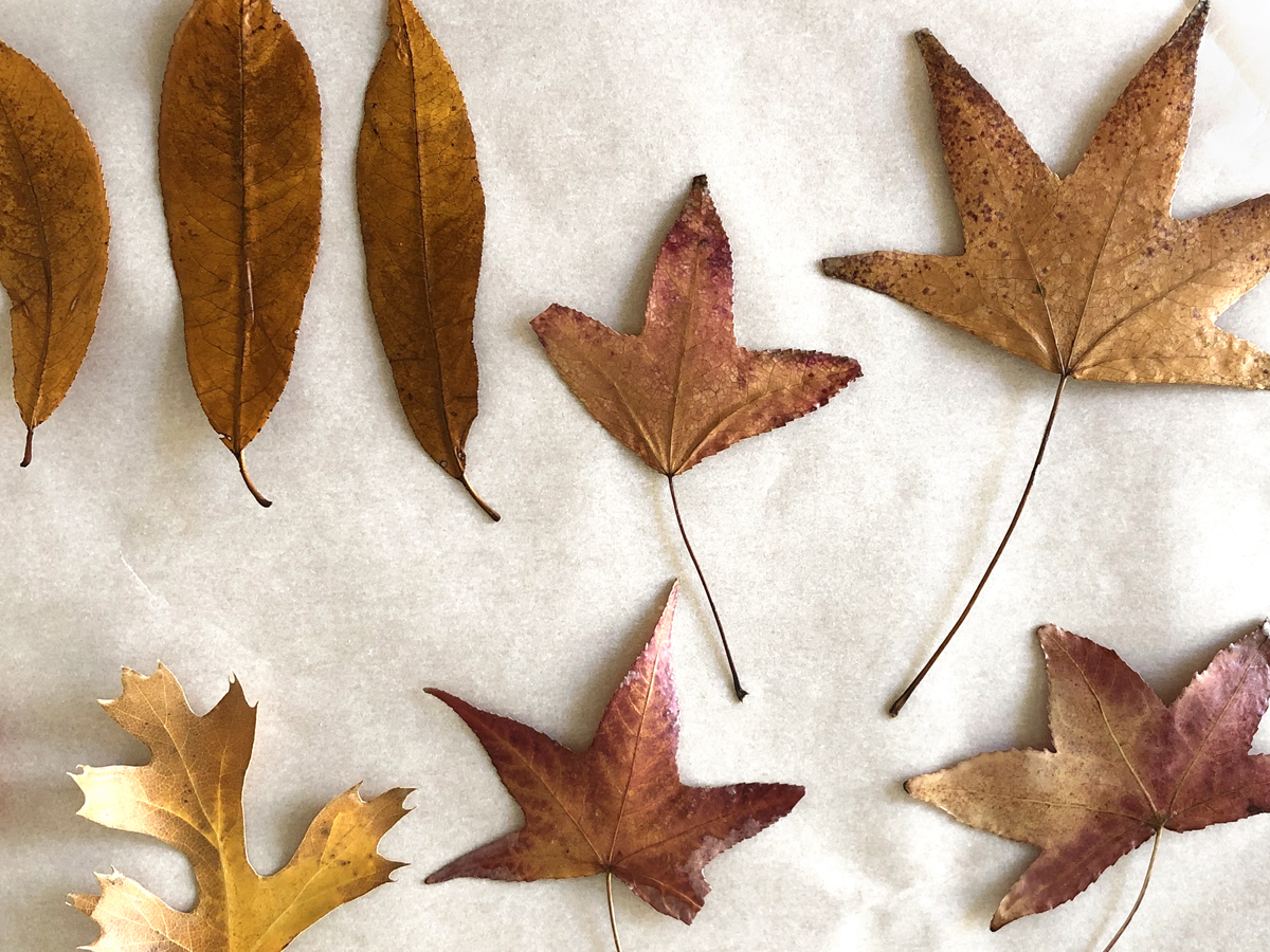 DIY beeswax-dipped leaf garland – Woodlark